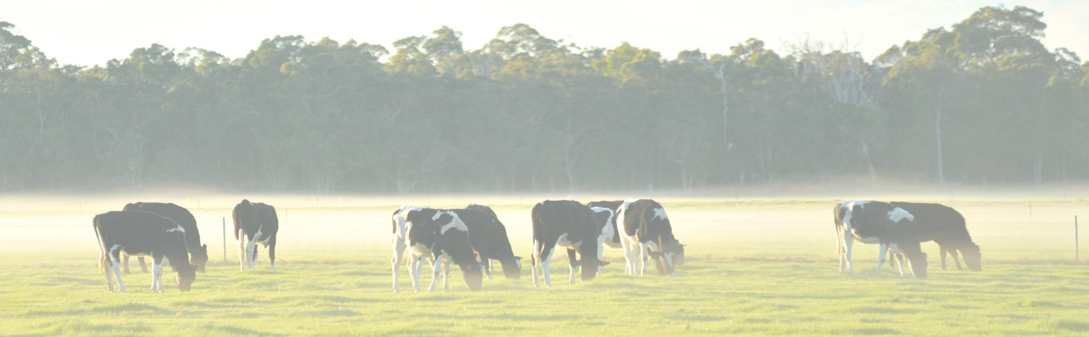 Paddock-to-Plate | Siecap